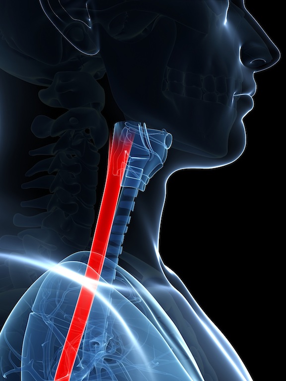 Voice Clinic in Denver | Peak ENT and Voice Center